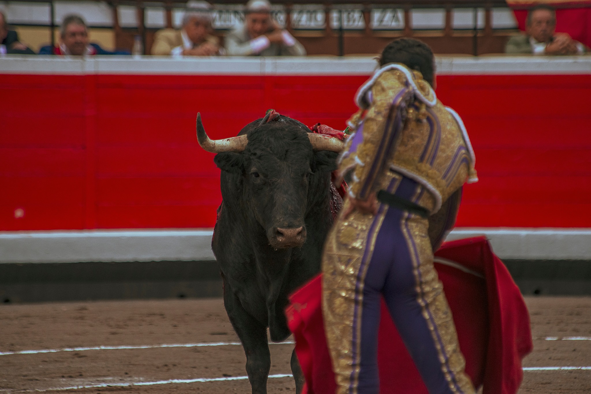 Feria de San Miguel Sevilla / Festival of Saint Michael Seville 2025 ...