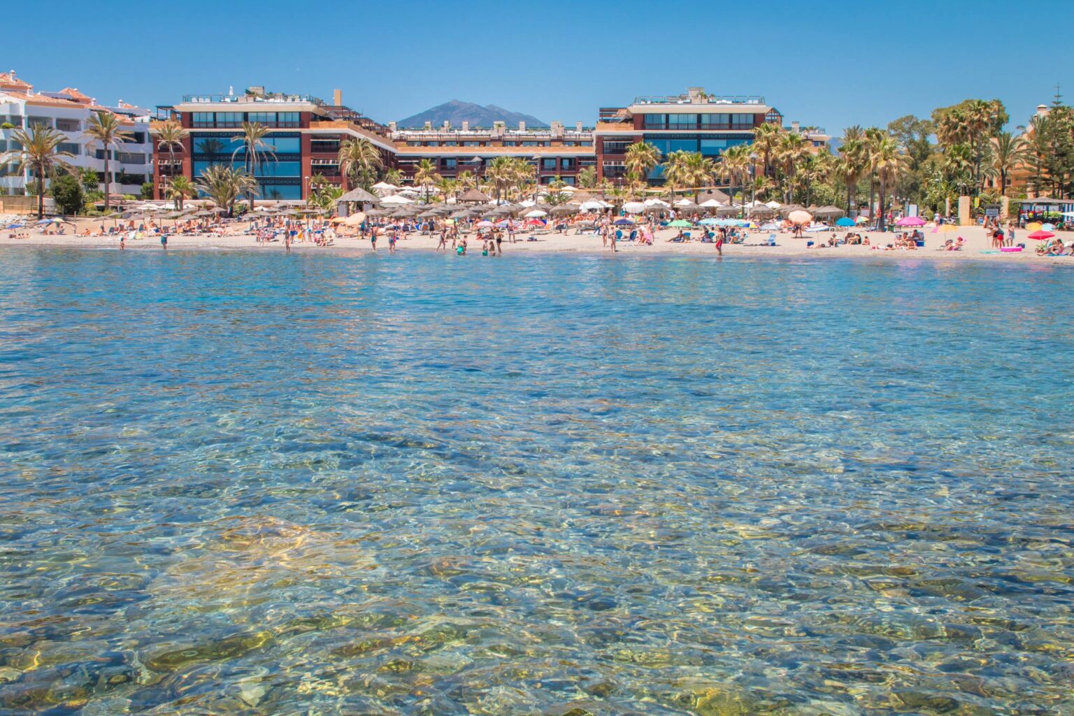 Best Beach Clubs in Marbella 2025 - Pit Stop Café Marbella